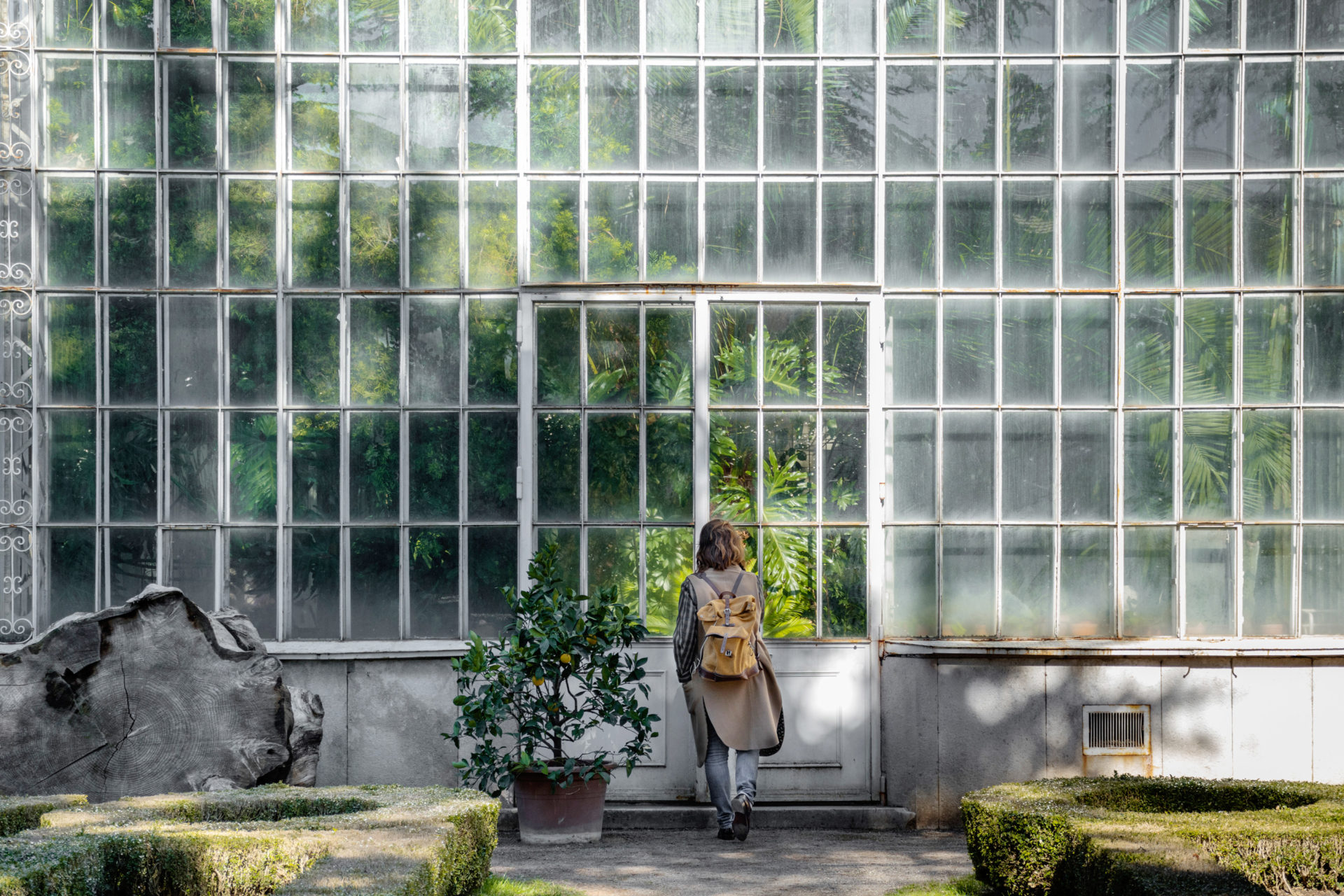 Vodeni ogledi vrta - Botanični vrt Sežana